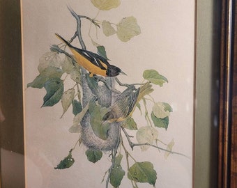 M G Loates Print - Etsy