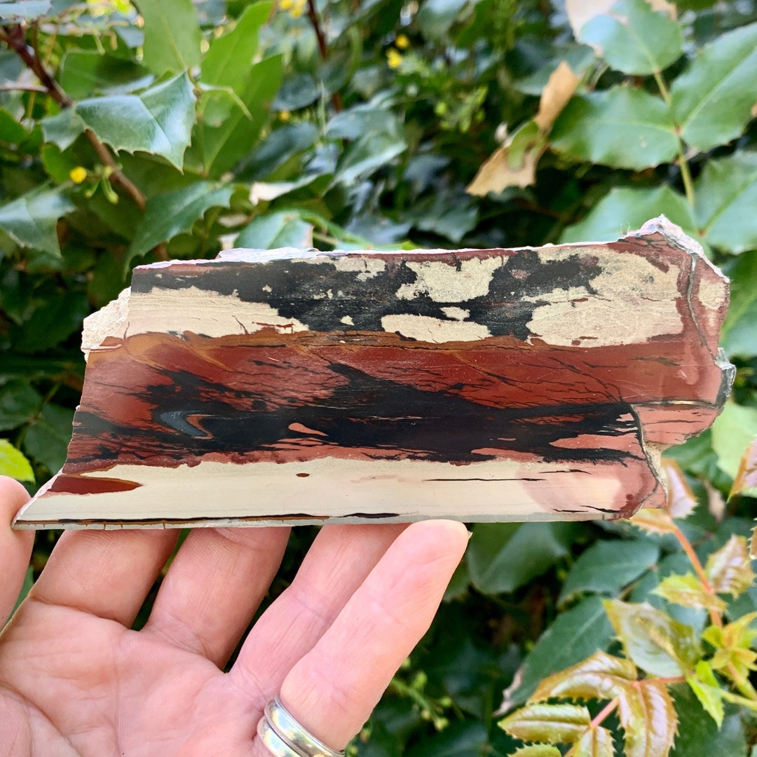 Indian Paint Stone Polished Slab / Death Valley Paint / Navajo Blanket ...