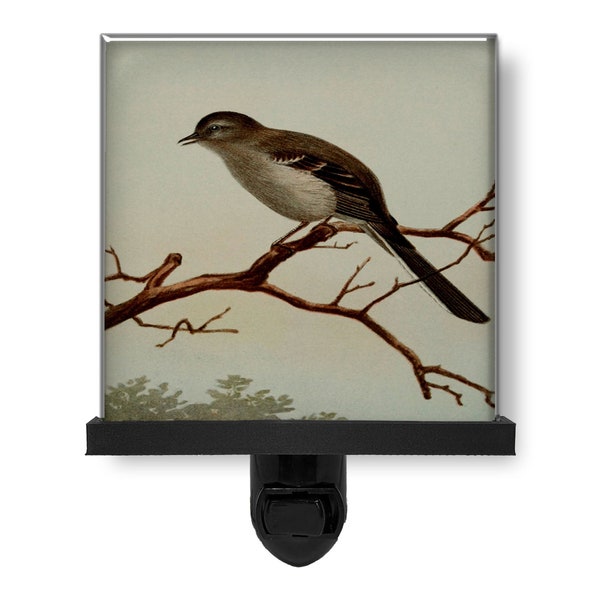 Bird Light - Etsy