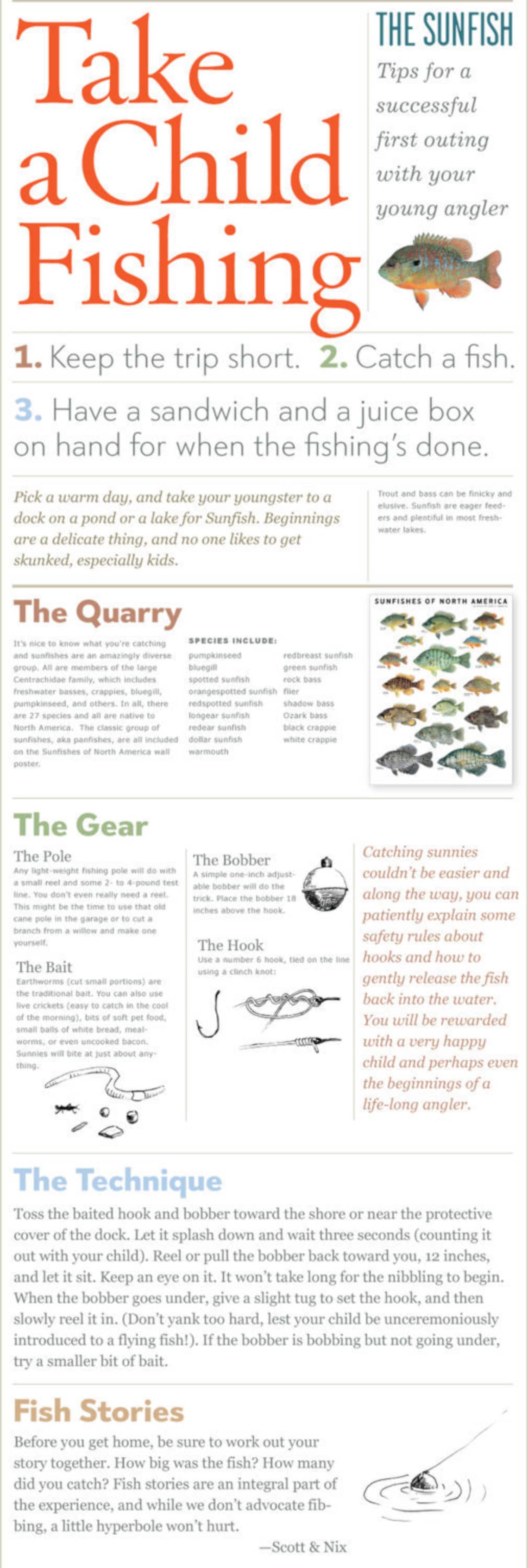 Sunfishes of North America Poster - Etsy