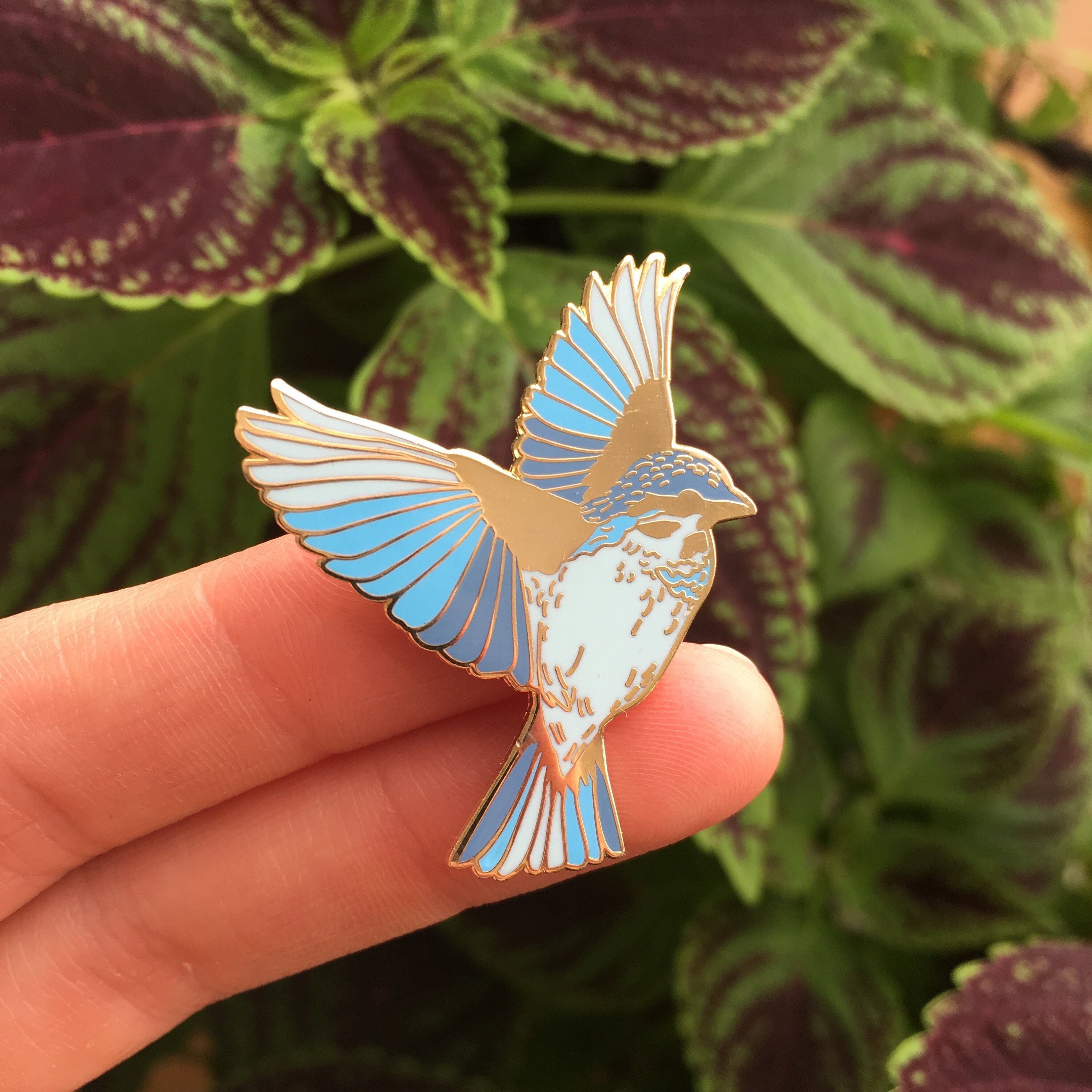 Bluebird Enamel Pin - Etsy