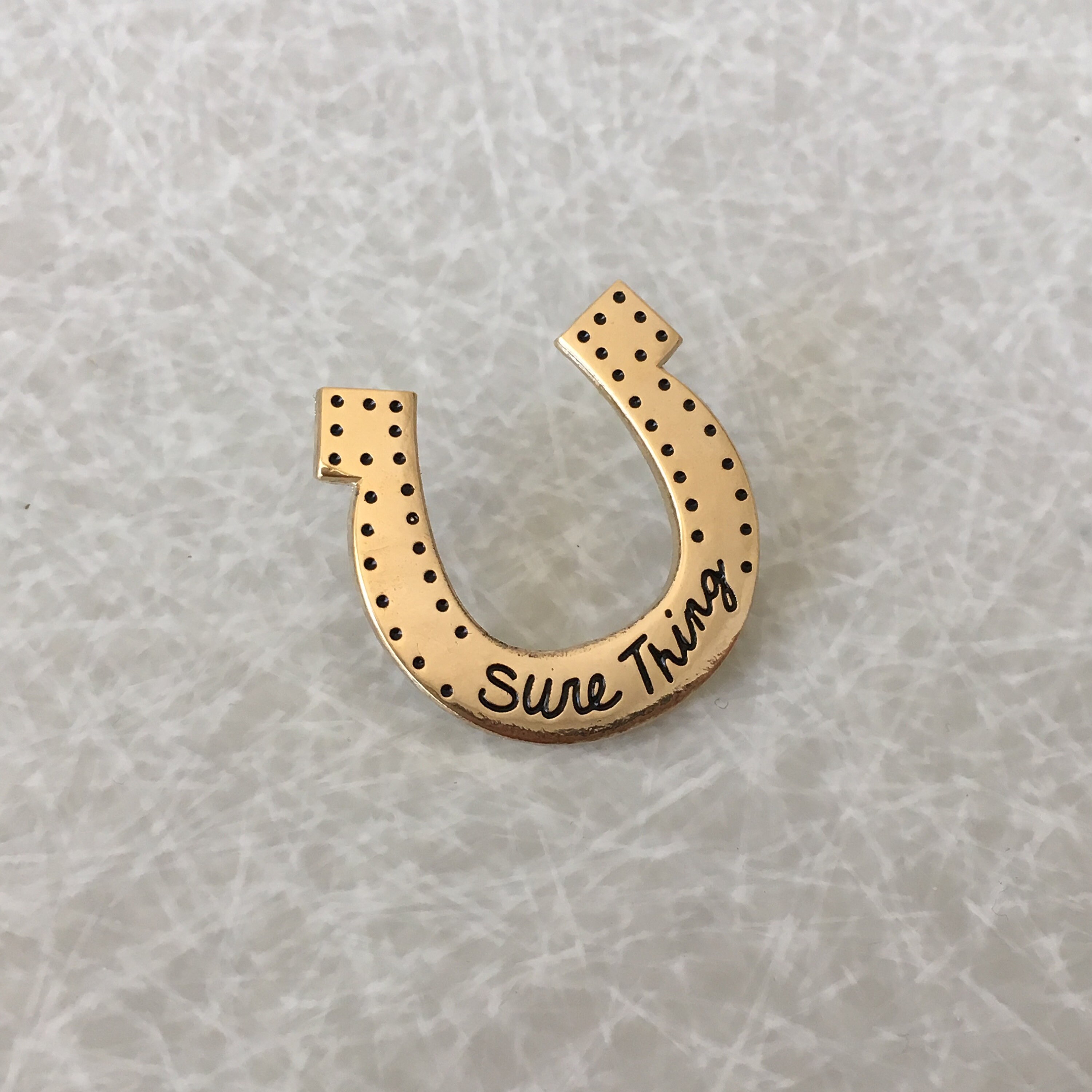 Sure Thing Lucky Horseshoe Pin - Etsy