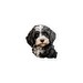 Cavapoo Sticker - Etsy