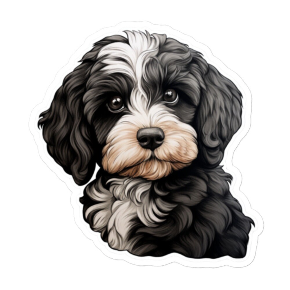 Cavapoo Sticker - Etsy
