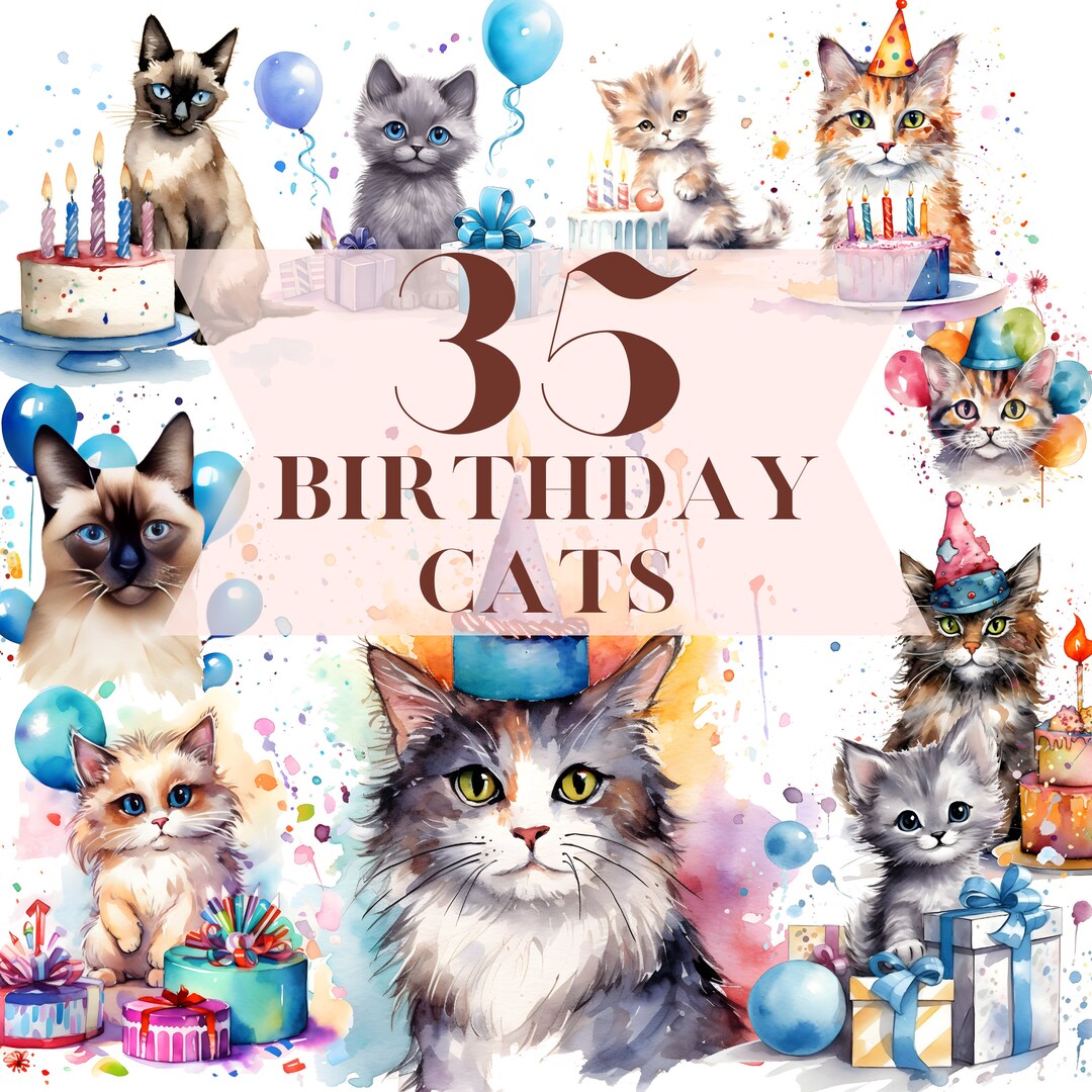 Birthday Cats Watercolor Clipart 35 Transparent PNG Files. Kitten Party ...