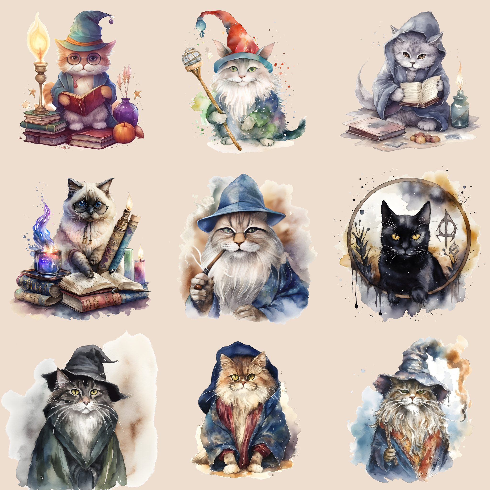 Magical Cats Watercolor Clipart 25 Transparent PNG Files. Witchy and ...