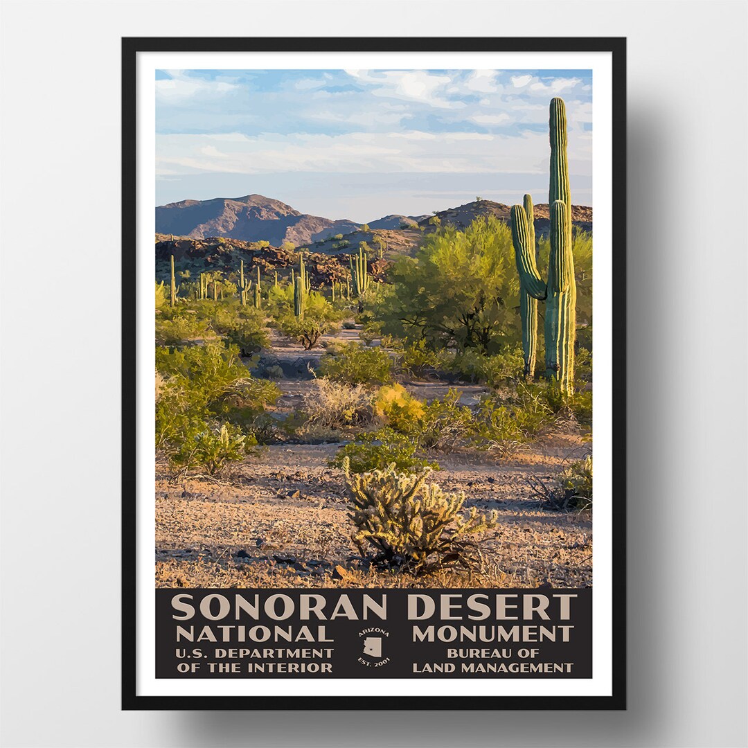 Sonoran Desert National Monument Poster Vintage WPA Style Travel Poster ...