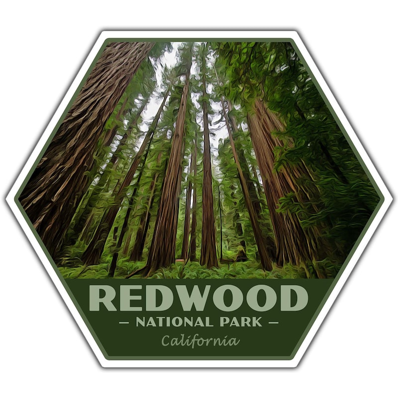 Redwood - Etsy