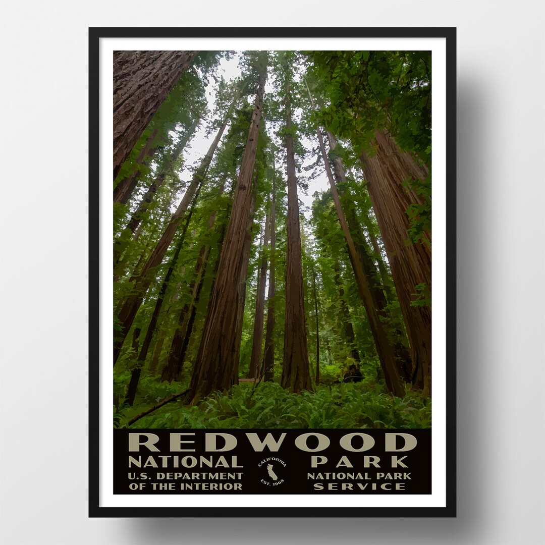 Redwood National Park Poster Vintage WPA Style Travel Poster 8 X 10 to ...