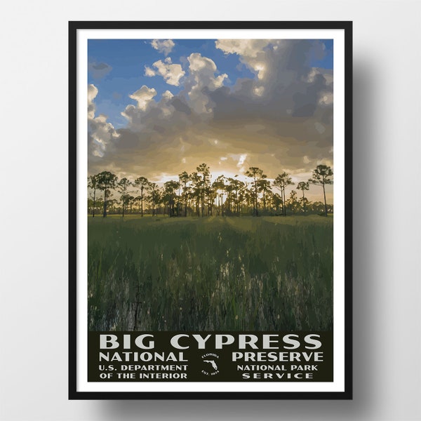 Phish Big Cypress Poster - Etsy