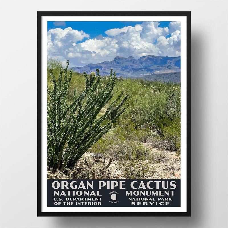 Cactus Poster - Etsy
