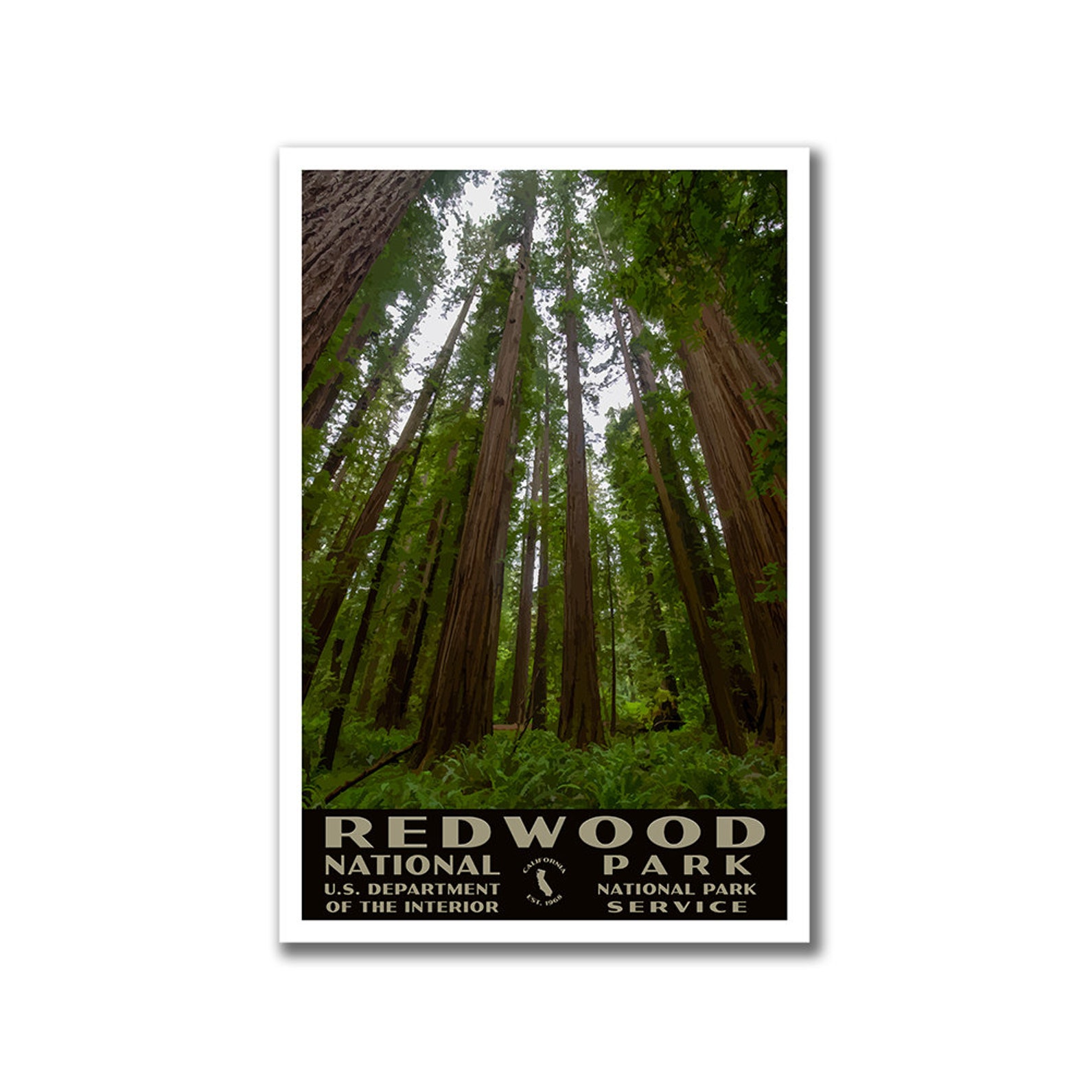 Redwood National Park Poster Vintage WPA Style Travel Poster - Etsy