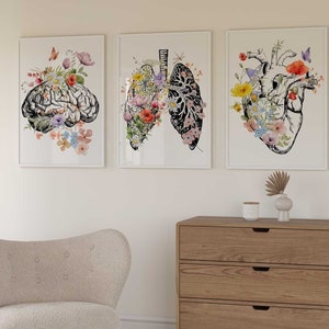 Anatomy Art Set, Brain Heart Lungs Wall Art, Medical Student Gift ...