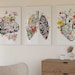 Anatomy Art Set, Brain Heart Lungs Wall Art, Medical Student Gift ...