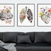 Human Anatomy Poster Set, Brain Heart Lungs Wall Art, Medical Student ...