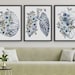 Anatomy Poster, Doctor Office Wall Decor, Human Heart, Lungs, Brain Art ...