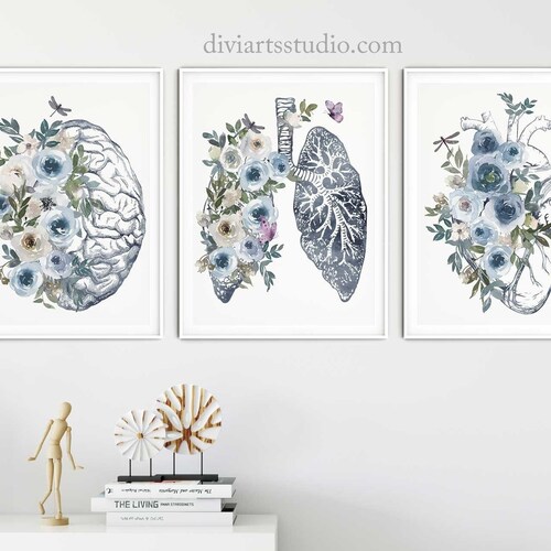 Anatomy Art Doctor Office Anatomy Wall Decor Human Heart - Etsy