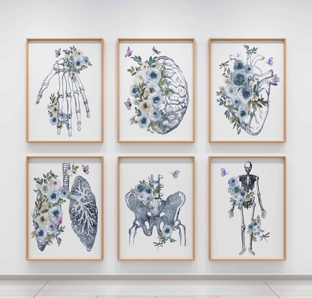 Anatomy Wall Art Set, Blue Osteopathic Physician, Doctor Gifts, Brain ...