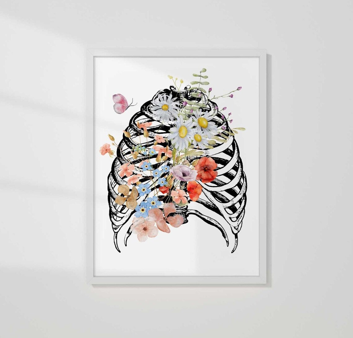 Anatomy Art Print Rib Cage Poster Orthopedic Doctor Office - Etsy