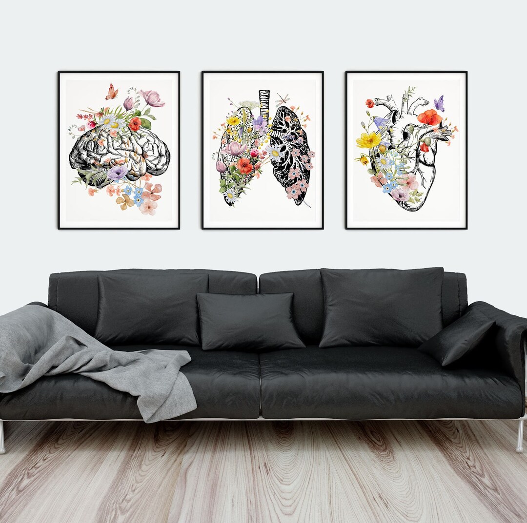 Human Anatomy Poster Set, Brain Heart Lungs Wall Art, Medical Student ...