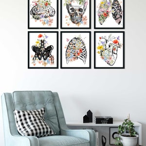 Medical Office Wall Art, Osteopathic Physician, Doctor Graduation Gifts ...