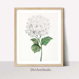 White Hydrangea Watercolor Print, White Botanical Print Set of 3 ...