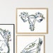Uterus Anatomy Print OBGYN Office Art Doula Gift Midwife - Etsy Canada