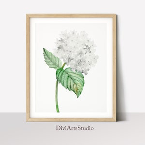 White Hydrangea Watercolor Print, White Botanical Print Set of 3 ...