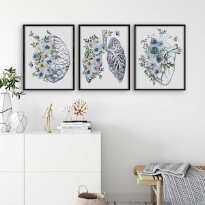 Anatomy Poster, Doctor Office Wall Decor, Human Heart, Lungs, Brain Art ...