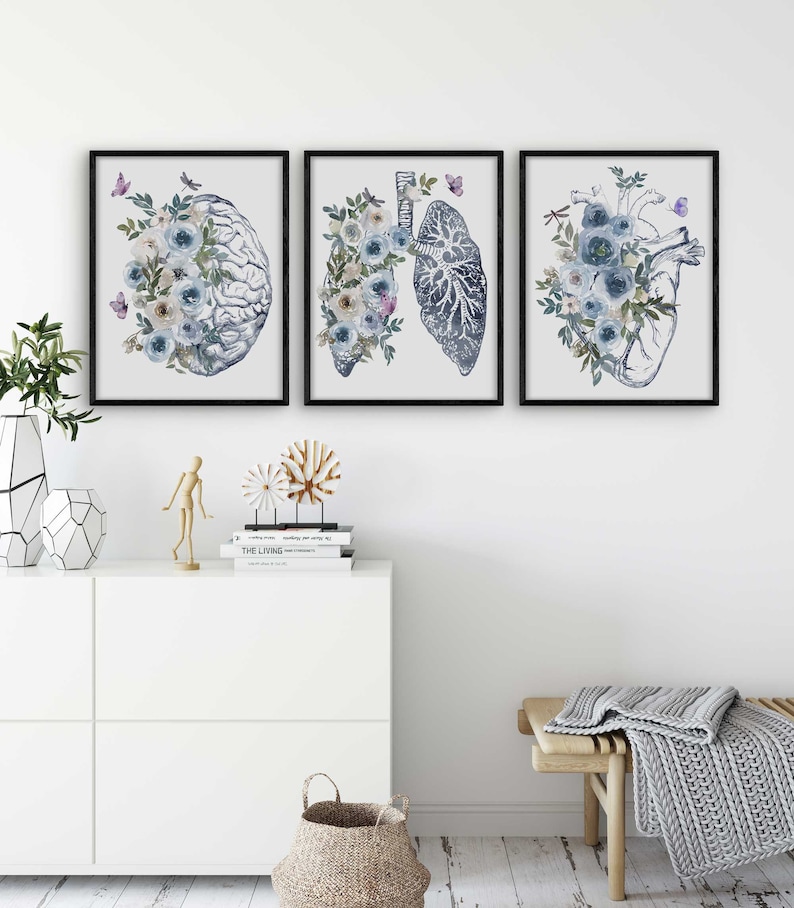 Anatomy Poster, Doctor Office Wall Decor, Human Heart, Lungs, Brain Art ...