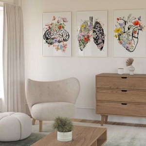 Human Anatomy Poster Set, Brain Heart Lungs Wall Art, Medical Student ...