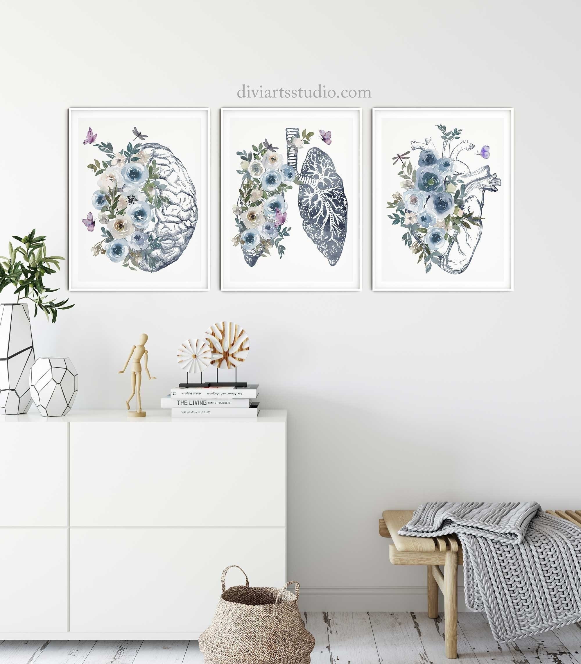 Anatomy Art, Doctor Office, Anatomy Wall Decor, Human Heart, Lungs ...