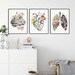 Human Anatomy Poster Set, Brain Heart Lungs Wall Art, Medical Student ...