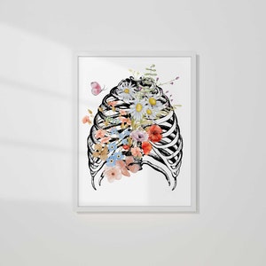 Anatomy Art Print, Rib Cage Poster, Orthopedic Doctor Office Décor, Rib ...