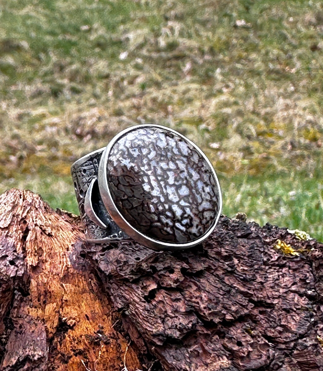 Otherworldly “quasar” Ring Dino Gem Bone and Sterling Statement Ring ...