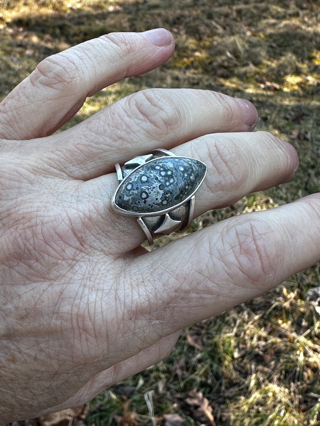 Otherworldly reception Ring Orbital Jasper and Sterling Statement Ring ...