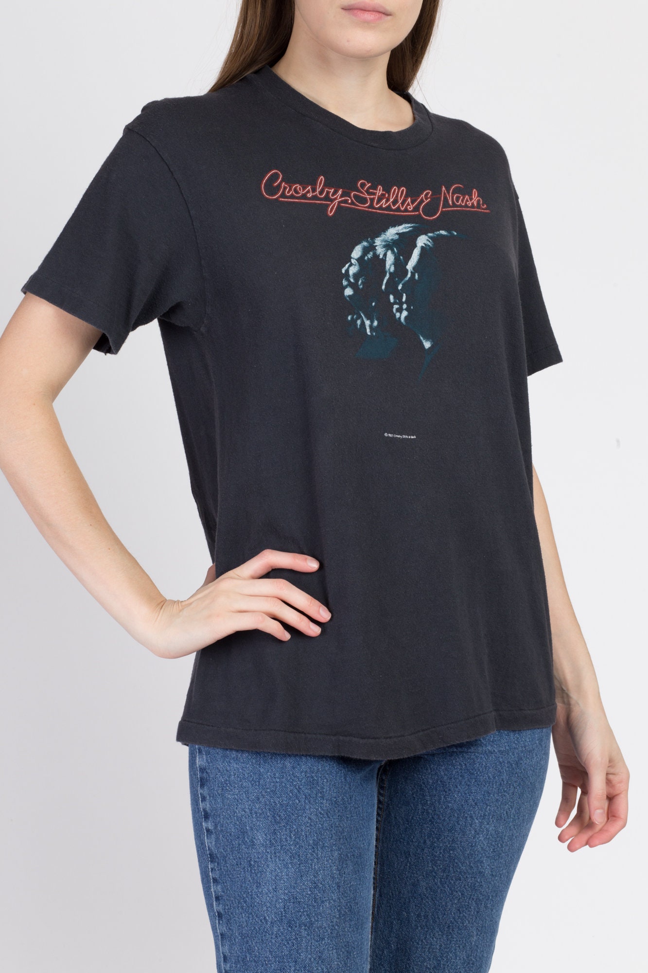 Vintage 80s Crosby Stills & Nash T Shirt Rare CSNY Authentic Graphic ...