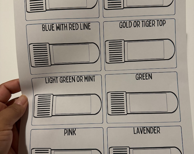 Phlebotomy Order of Draw Flashcards - Etsy