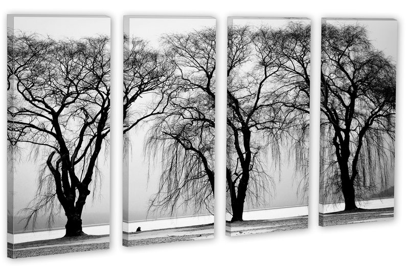 Trees in Black and White Canvas Print Wall Art - 3 Panel Split ...
