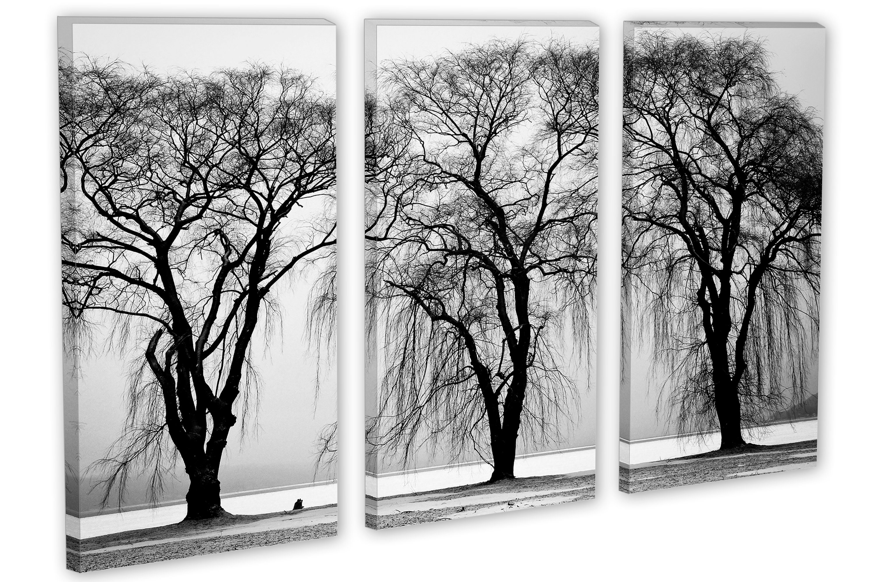 Trees in Black and White Canvas Print Wall Art - 3 Panel Split ...