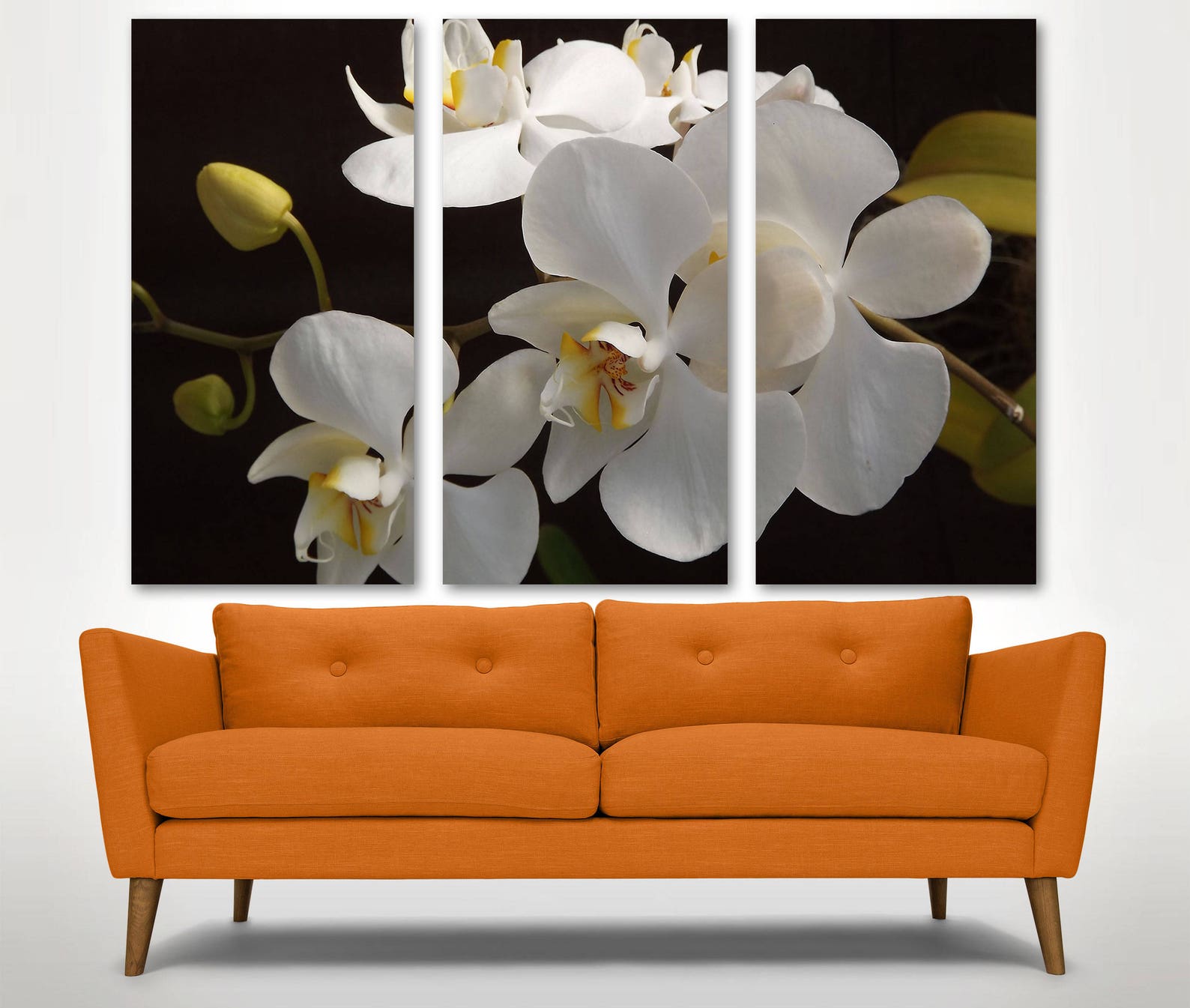 White Orchid Wall Art Canvas Print - 3 Panel Split, Triptych Flower ...