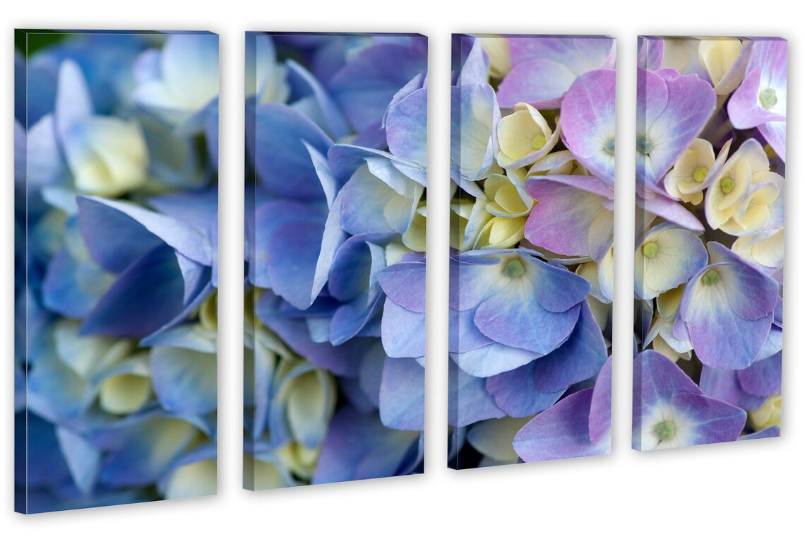 Beautiful Hydrangeas Flower Wall Art Canvas Print 3 Panel Split ...