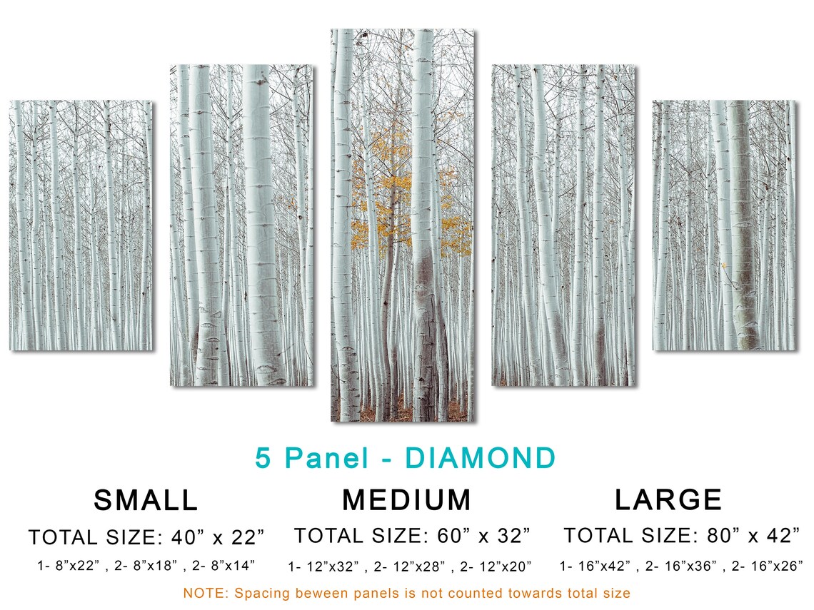White Birch Tree Forest Canvas Print Wall Art 3 Panel Split | Etsy