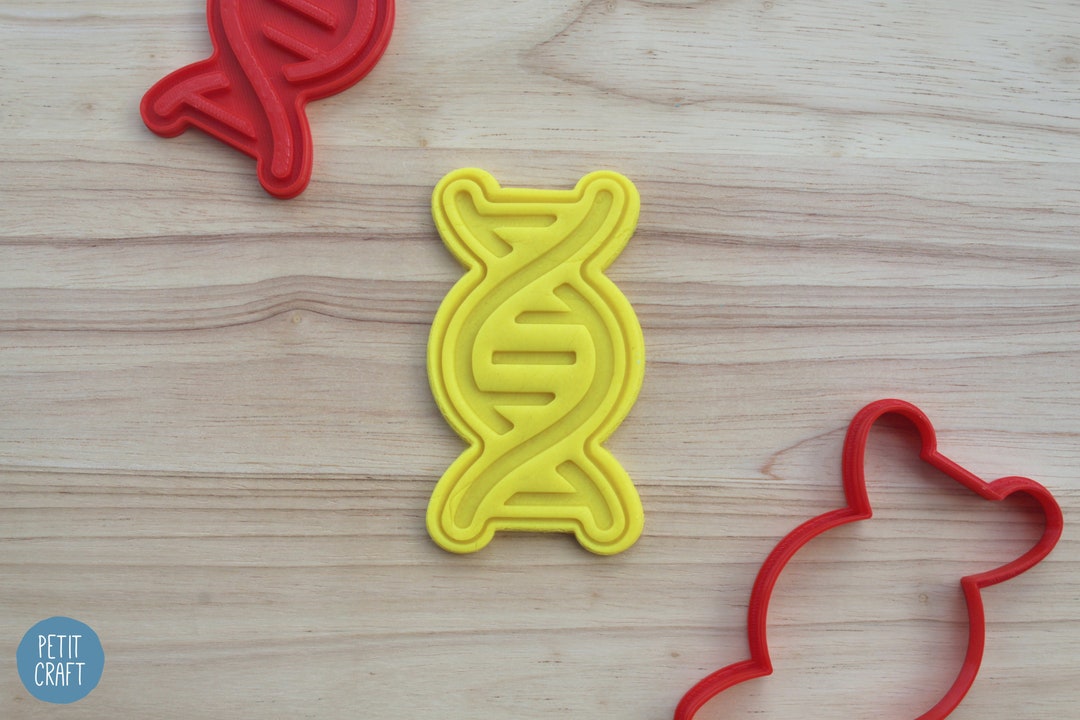 DNA Helix | Science Symbols, School Cookie Cutters and Embossers, Cake ...
