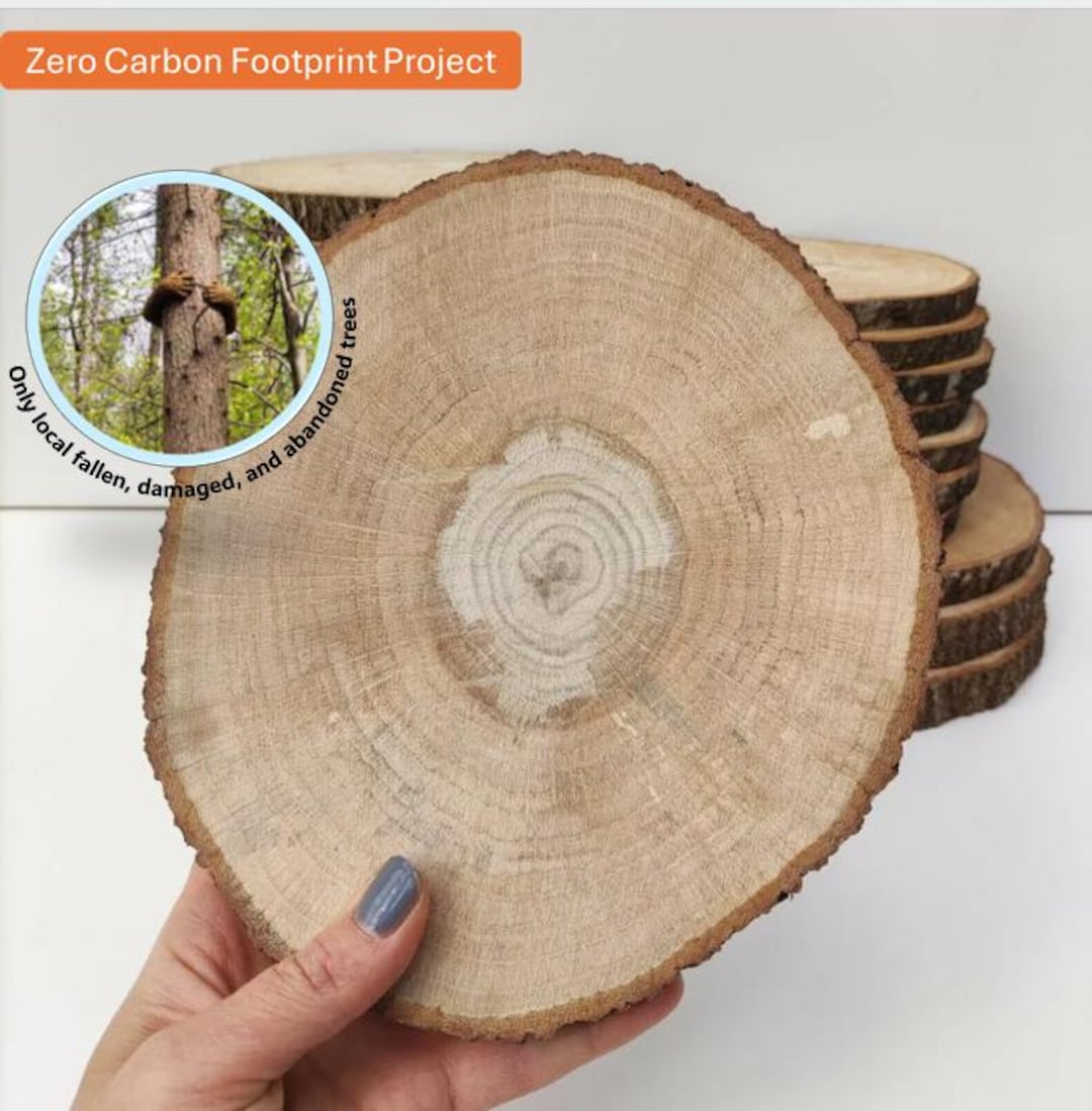 Hardwood Slices: Rustic Wood Discs for Pyrography Art - Etsy