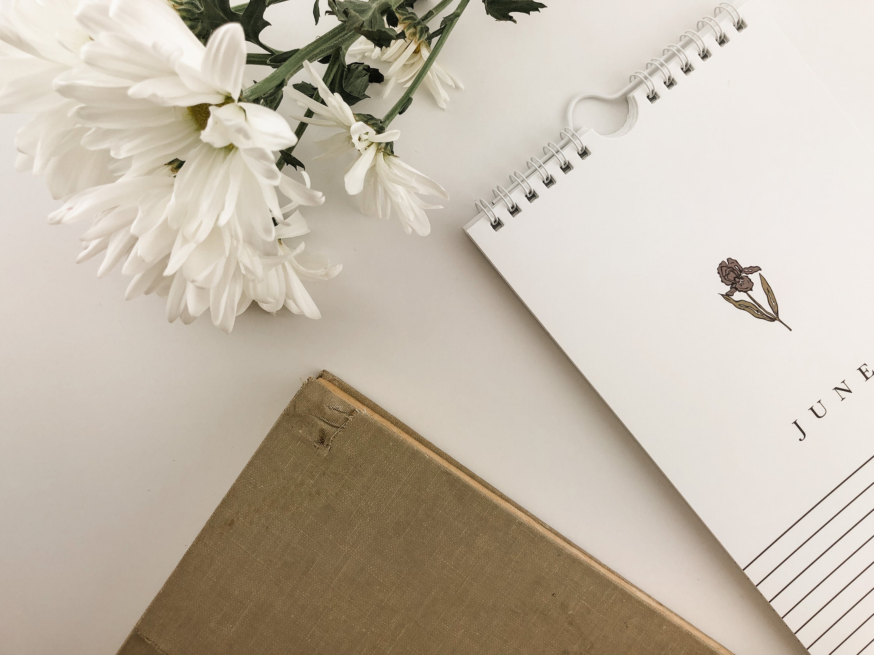 FOREVER CALENDAR Perpetual Birthday Calendar 5.5in X 17in - Etsy