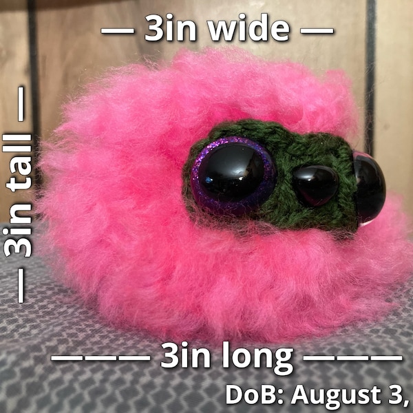 Pink Poof - Etsy