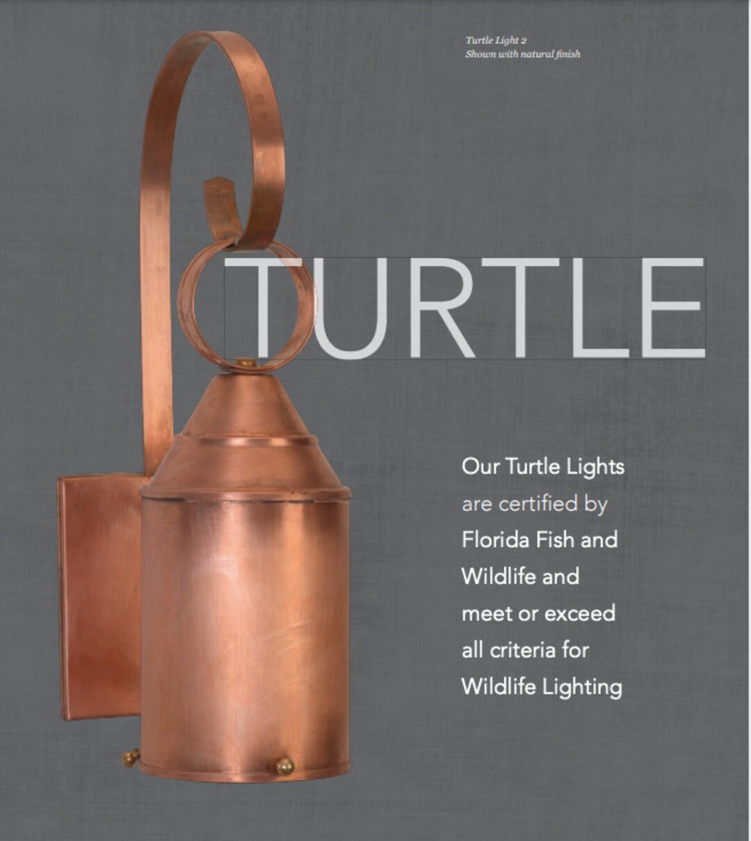 Turtle Light Copper Electric Lantern Outdoor Light Fixture Chandelier ...