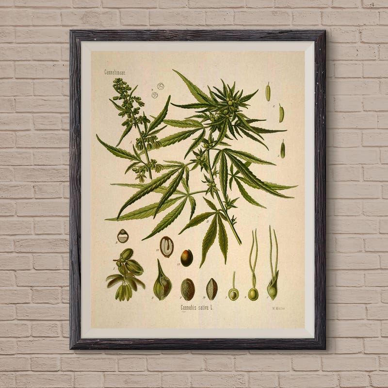 Marijuana Wall Art - Etsy