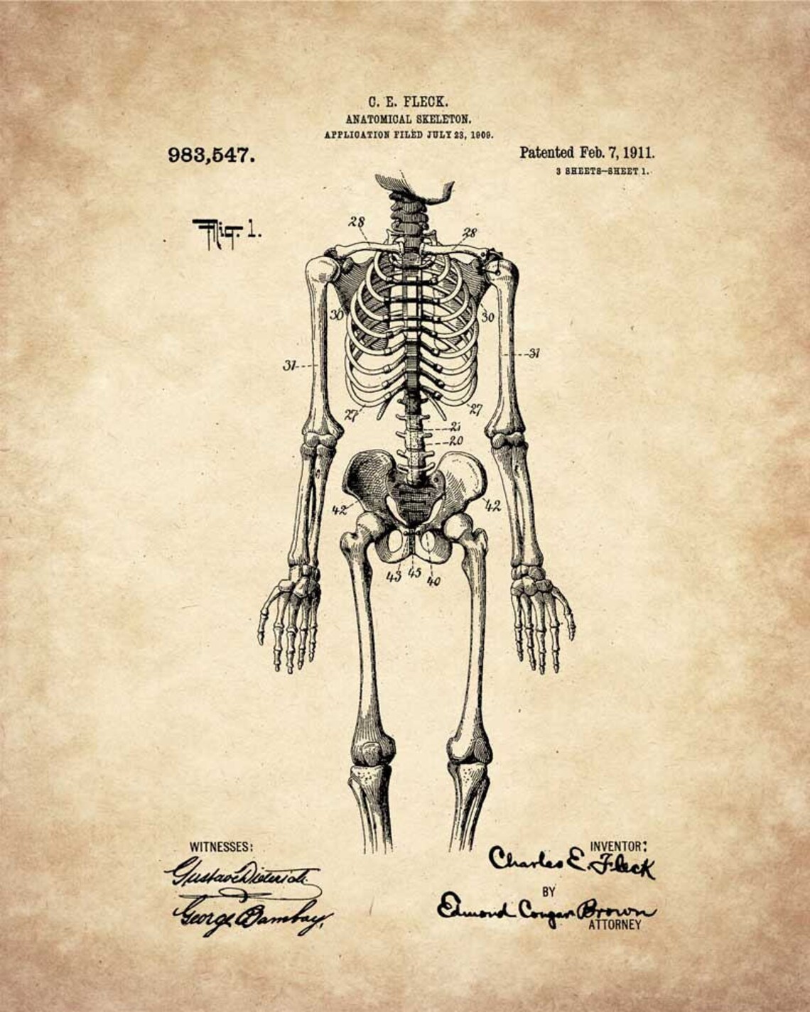 Skeleton Vintage Skeleton Set of 2 Skeleton Print Anatomy - Etsy